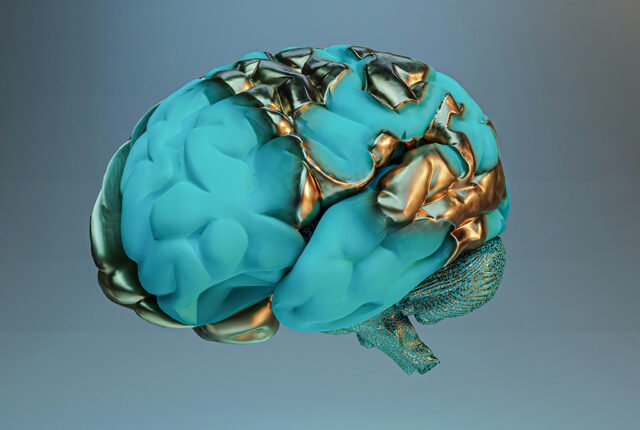 Addressing Gaps in Brain Injury Care with a Holistic Approach ...