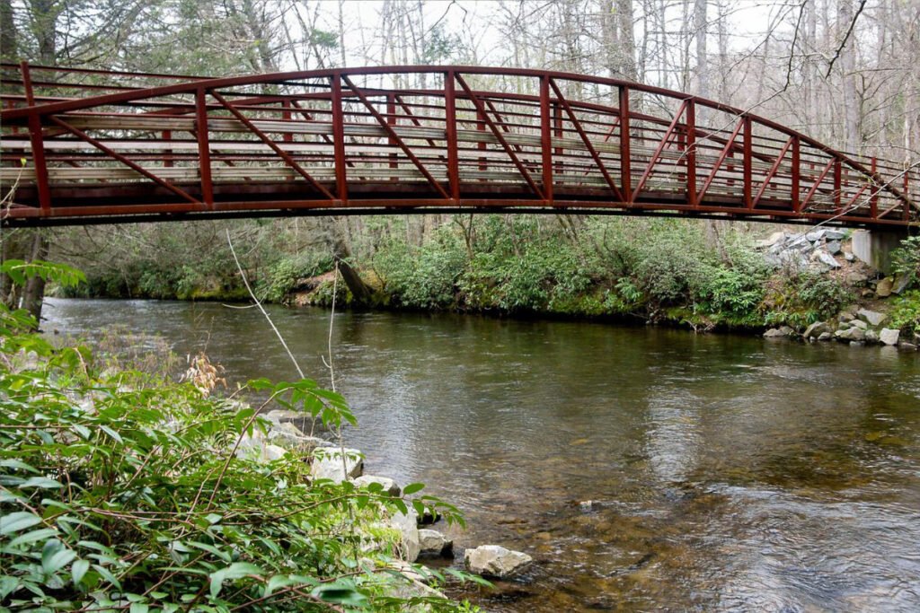 Block, Bridge, and Build: A Framework to Forge a More Democratic Future ...